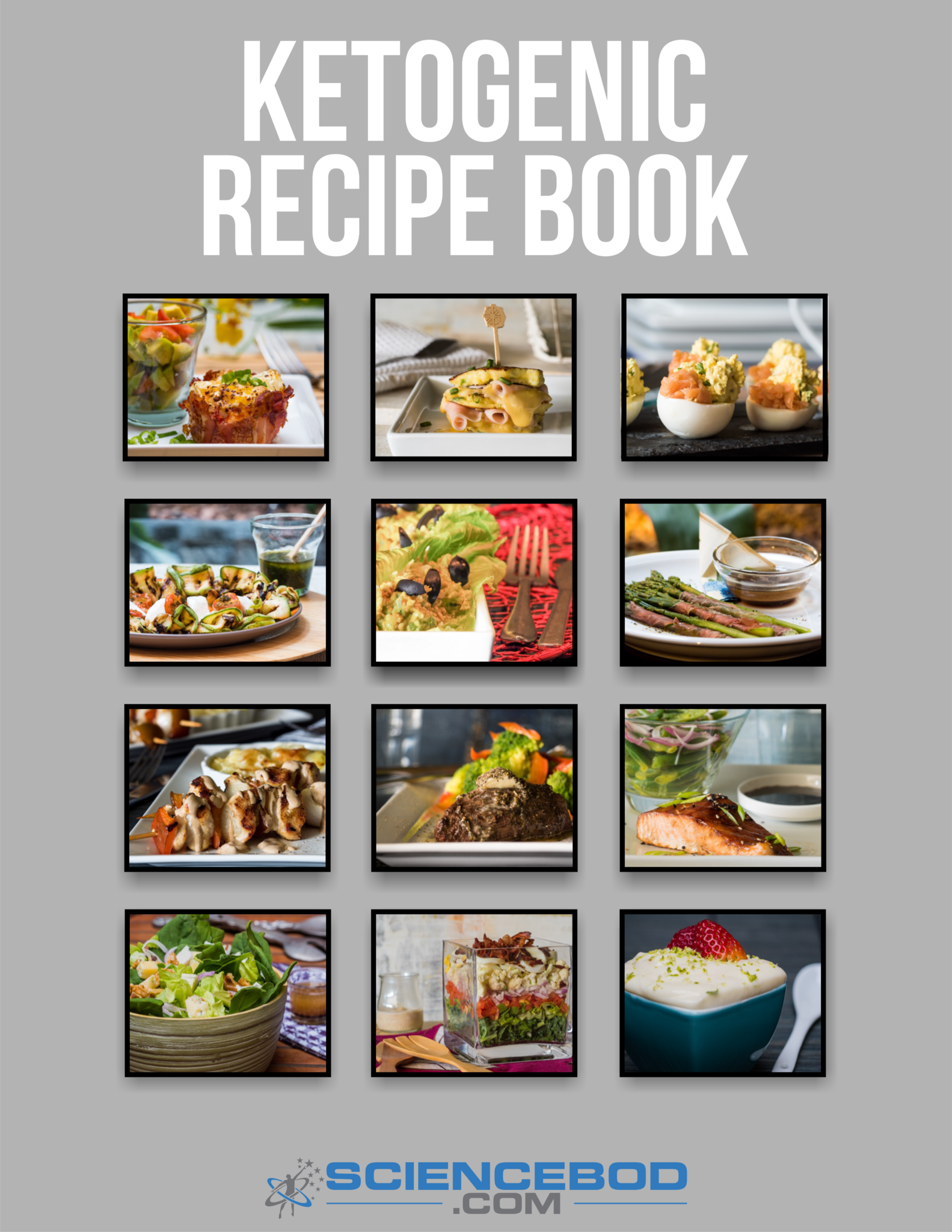 Front Cover Mockup Ketogenic Recipe Book – ScienceBod.com